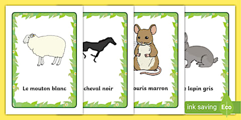 French Animal Word Cards