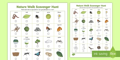 Sticks and Bark: Nature Play Tray