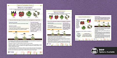 Graph Rules Checklist | KS3 Science | Beyond