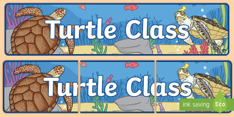 Turtle Class Display Posters