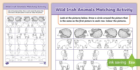 Nocturnal Animals Hexagon Display Coloring Activity