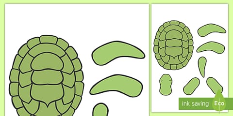 World Turtle Day Bingo