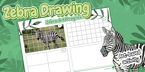 Intermediate Phase Life Skills - How to Draw a Zebra - Art Progress ...