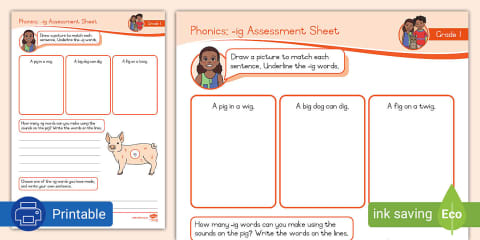 Grade 1 Phonics: -ag Assessment Sheet
