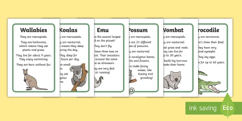 Australian Animals List and Pictures | Word Cards | Twinkl