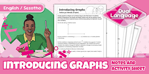 Grade 7 - Maths - Term 3 - Doing Transformations Activity Sheet ...