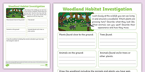 Woodland Habitat Interactive Labelling