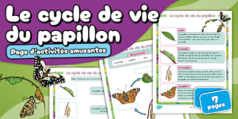 Discuss the Life Cycle of a Butterfly Picture Prompt