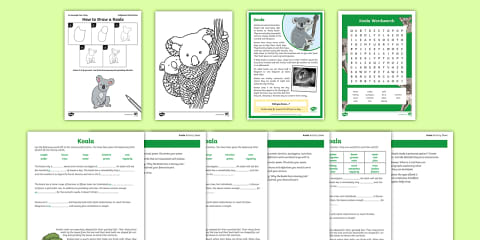 Life Cycle of a Koala Display Poster