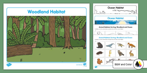 Build a Pond Habitat Cut and Paste Activity for PreK-K