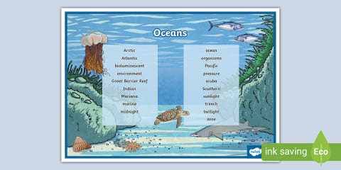 Ocean Vocabulary Word Mat