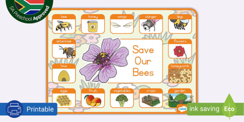 Preschool: Save Our Bees - Open and Closed Questions Prompt Cards