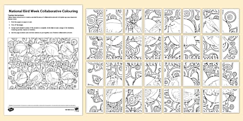 Aussie Backyard Bird Count Activity Sheet