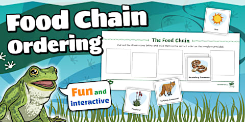 Food Chain Sorting Game