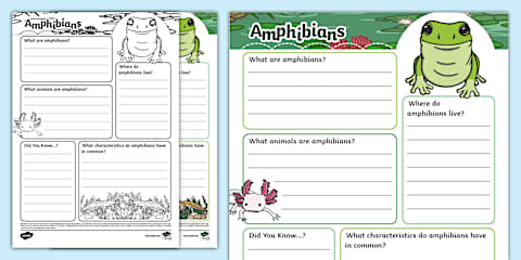 Amphibians Fact File and Quiz