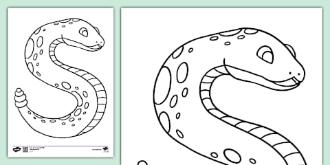 Letter 's' Craft - 's' is for 'slippery snake'