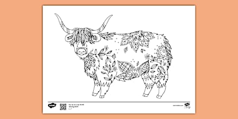 Heilan Coo Colouring Sheet