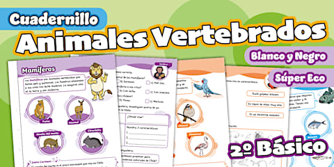 PowerPoint: Los Vertebrados