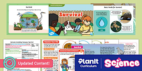 What Do Animals Need to Survive? Differentiated Worksheets