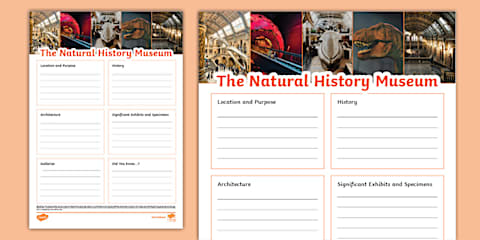 The Natural History Museum Leaflet Template