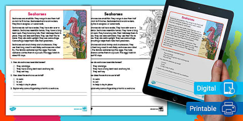 Seahorses Hexagon Writing Template