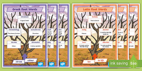 Word Matrix Posters | Primary Teaching Resources