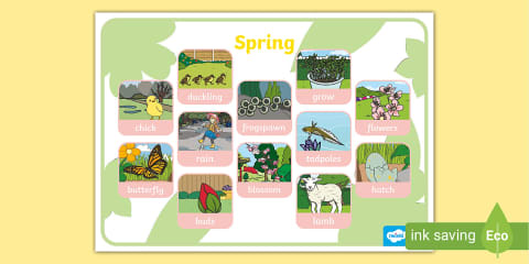 Spring Animals Photo Display Poster