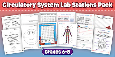 Seventh Grade Respiratory System Assessment