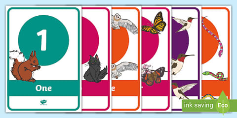Numbers 0-20 With Animals Display Posters