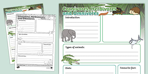 Carnivore, Herbivore or Omnivore Investigation Worksheet