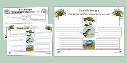 Komodo Dragon Fact File Template