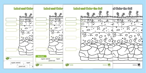 Types of Soil Facts and Activity Sheet