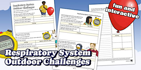 The Respiratory System Research Activity Sheet