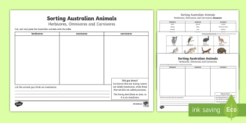 Carnivore, Omnivore and Herbivore Venn Diagram Worksheet
