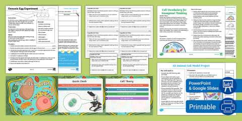 Plant Cell Labeling Worksheet for 6th-8th Grade