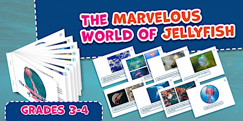 Label the Jellyfish Differentiated Worksheet for K-2nd Grade