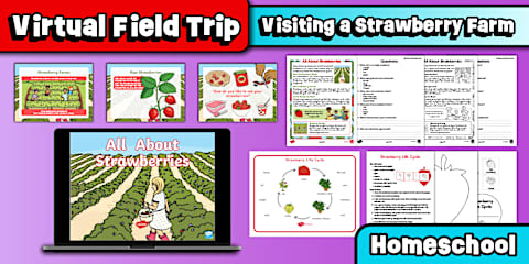 Field Trip Journal for Homeschool