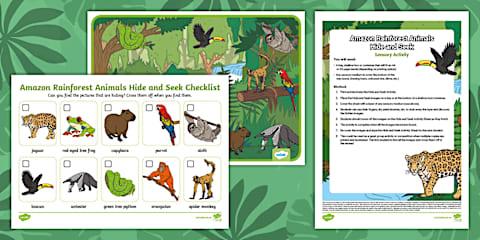 Amazon Rainforest Mapping Out Worksheet