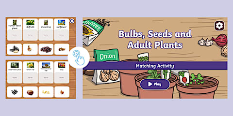 Phase 1 Number: Adding and Subtracting Fractions Supporting Activity Pack