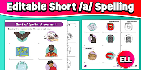 Rhyme Detective | Solve the Sentence Puzzle Worksheets for ELL