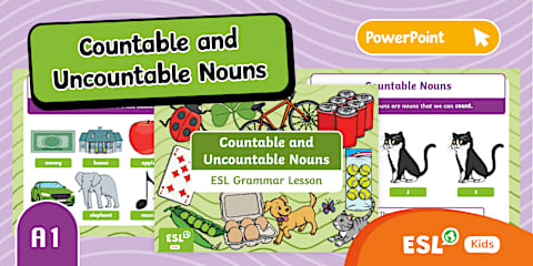 ESL Countable and Uncountable Nouns Lesson Plan [Kids, A1]