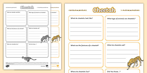 Describe a Cheetah Writing Activity