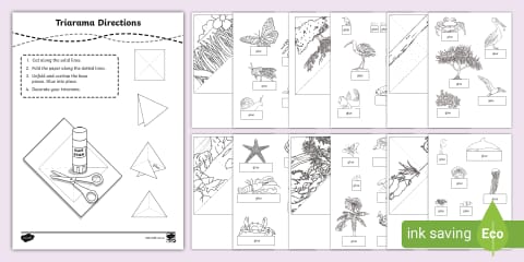 Animals of Madagascar Triarama Craft