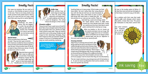 Things I Can Smell: Find and Color Worksheet