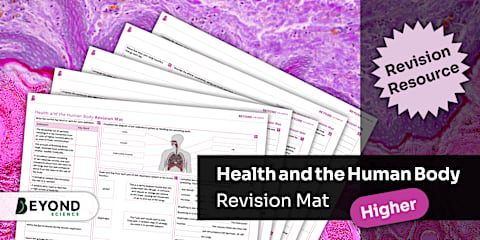KS3 Health and the Human Body Lesson 11: The Heart (Optional Lesson)