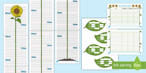 Height Chart with Class Labels