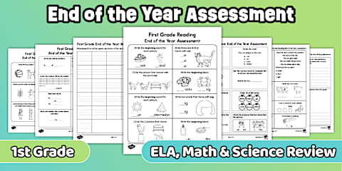 First Grade End of the Year Grammar Assessment
