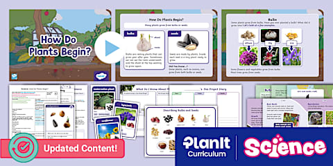 Science: Plants: Do Plants Need Light? Year 2 Lesson 2