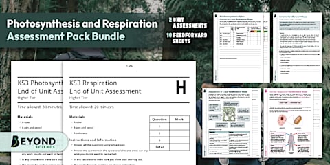 KS3 Photosynthesis and Respiration Lesson 3: Plant Minerals and ...