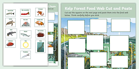 Ocean Food Web Cut and Stick